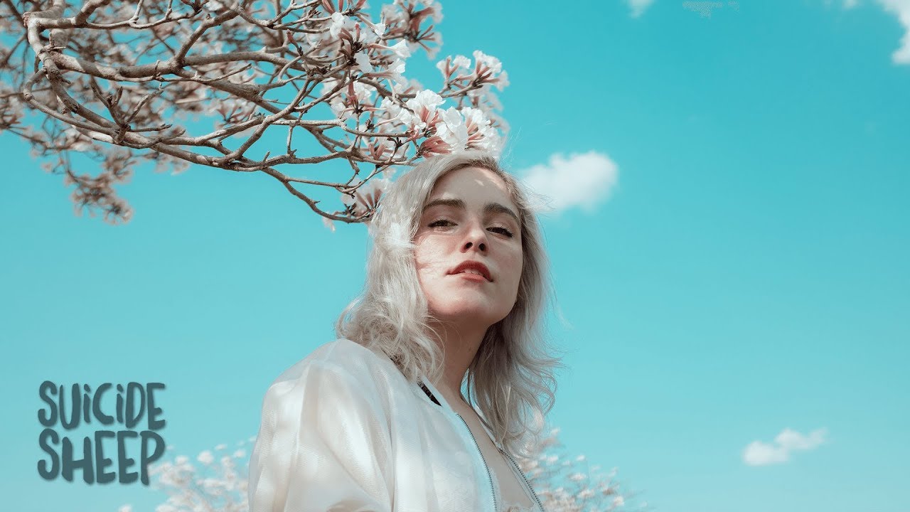 Tyzo Bloom - TRAKTIVIST