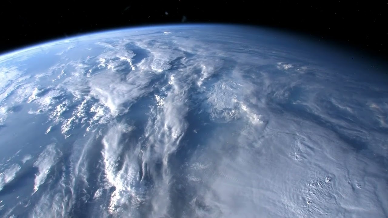 Rei Brown - TRAKTIVIST